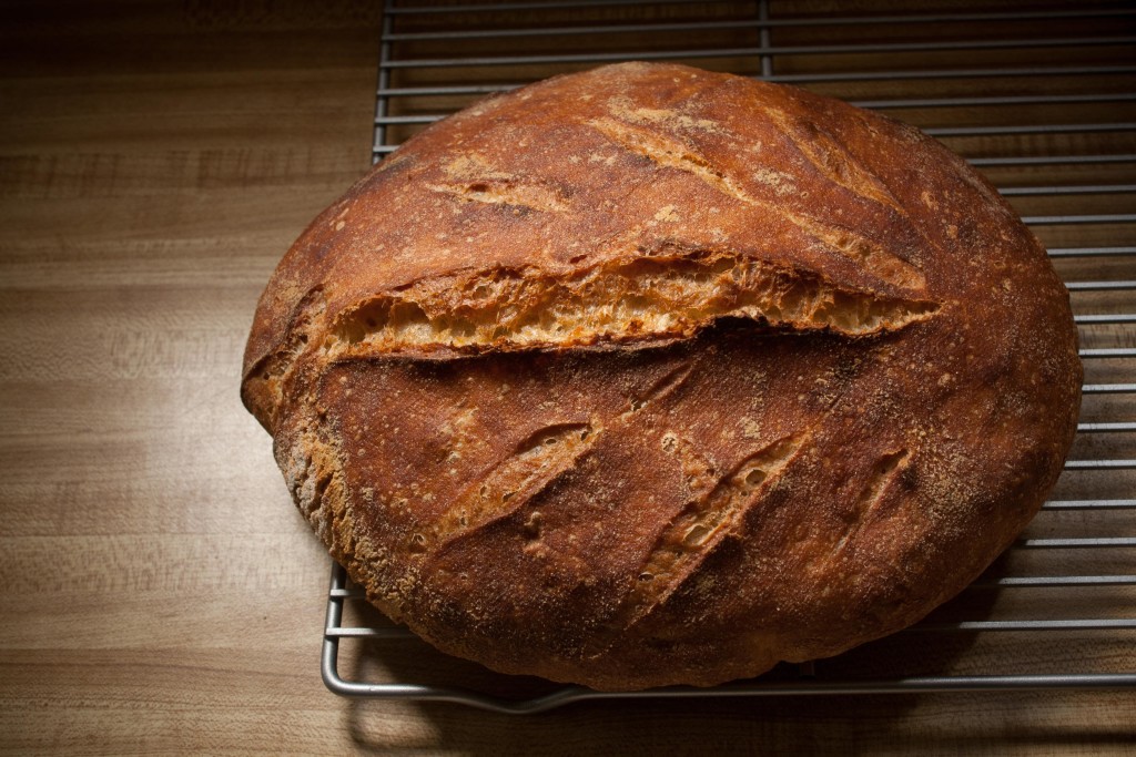 Kitchen Diaries: Lessons from a Sourdough Bread Loaf